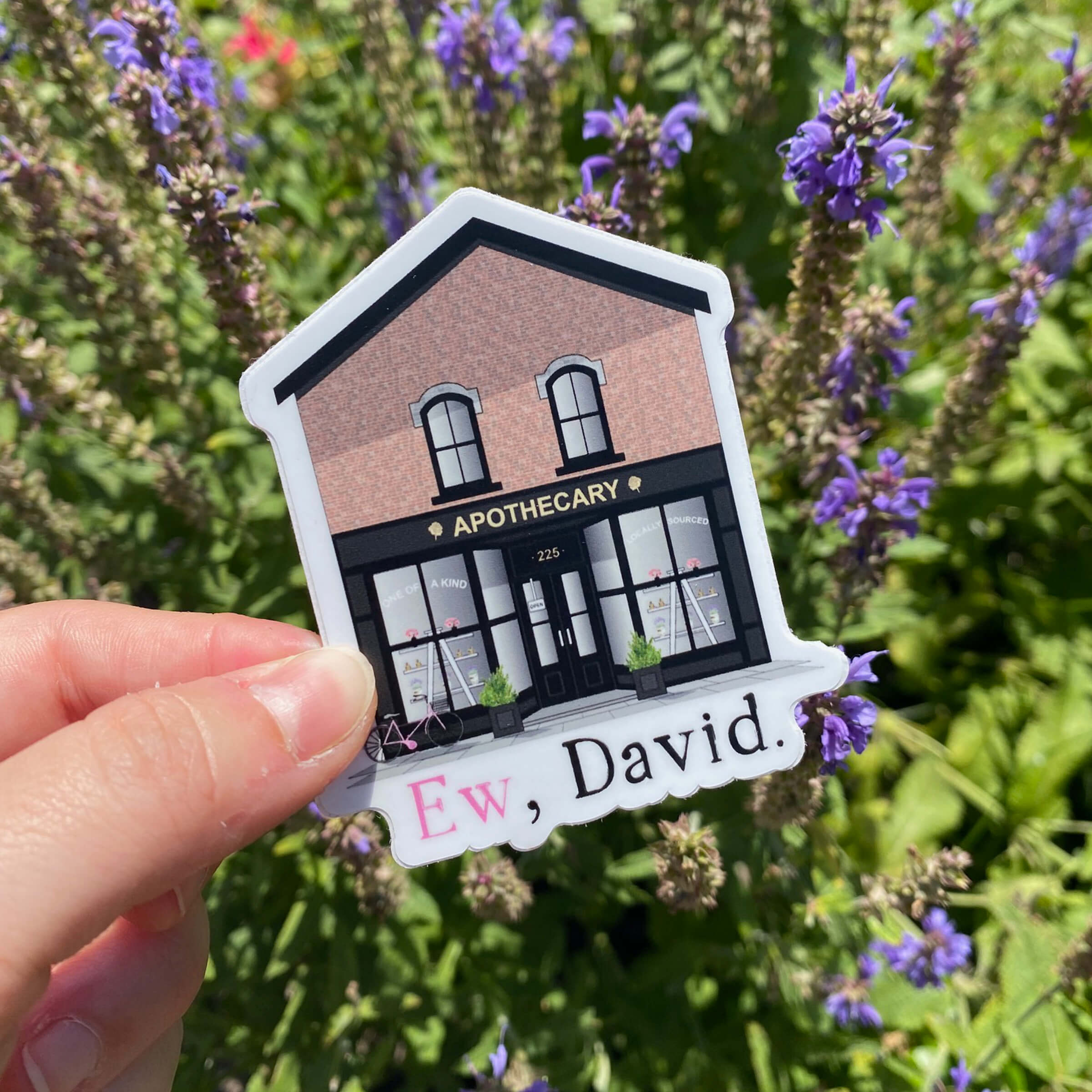 Ew, David! Sticker – Fox Burrow Designs